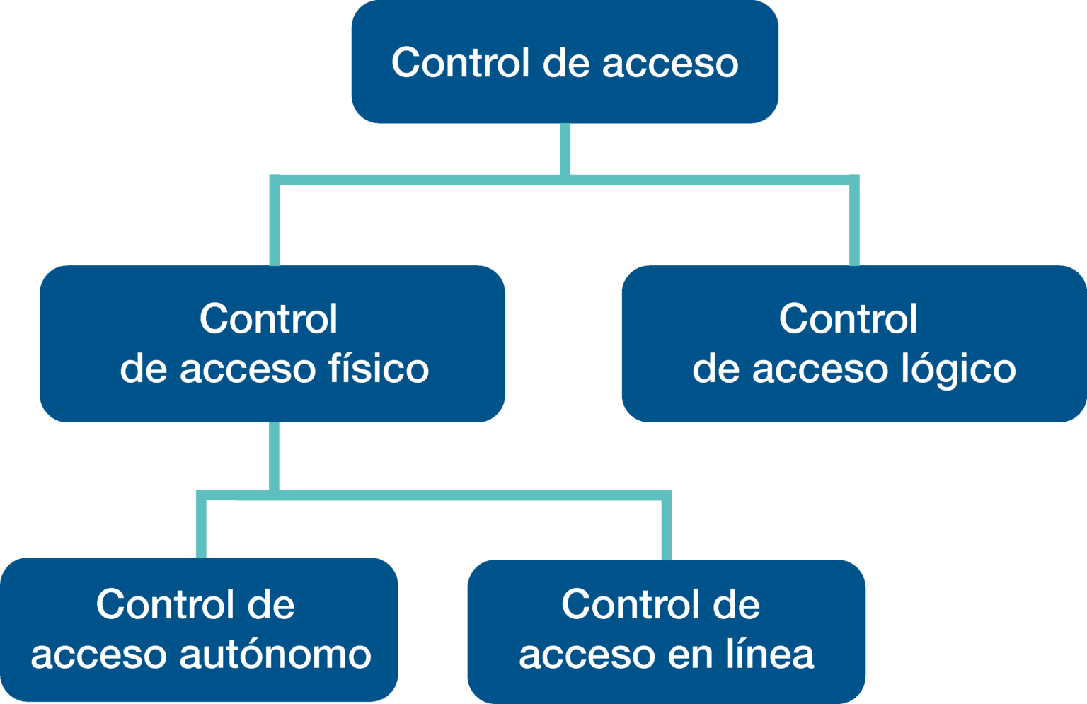 ¿Qué es el control de acceso? | Control de acceso explicado | CDVI Ibérica